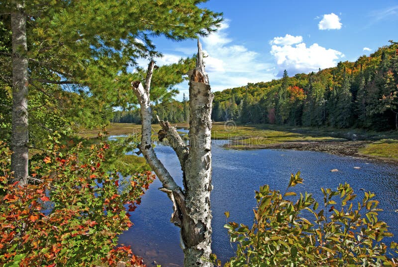 Landscape north of Ontario stock image. Image of lake - 78317195