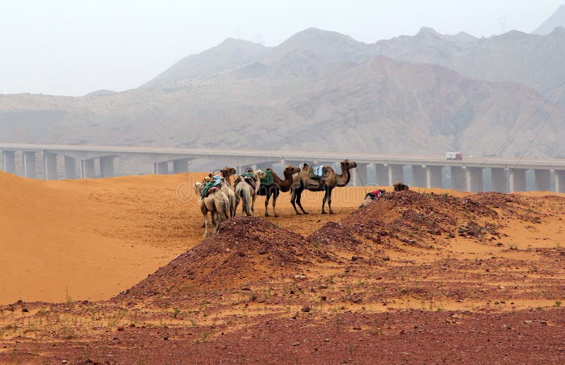 Landscape in Northwest of China, Ningxia Province Stock Image - Image ...