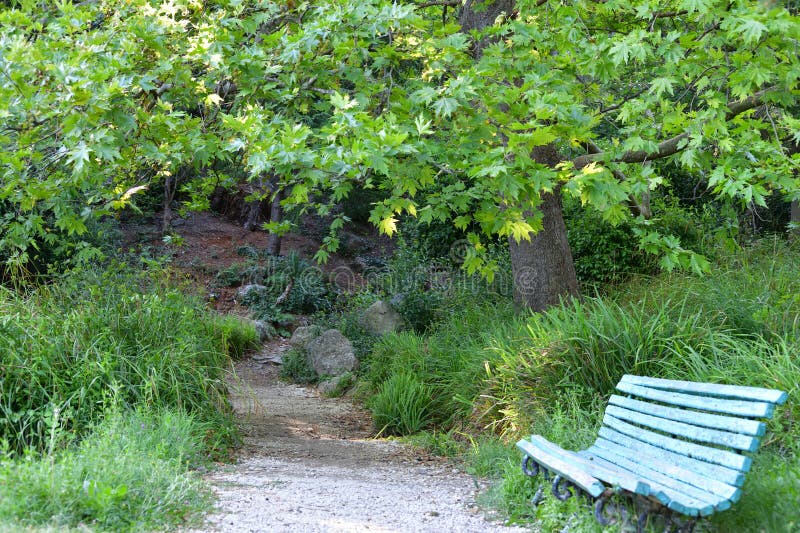Landscape with Norway Maple, Old Bench and Path Stock Image - Image of ...