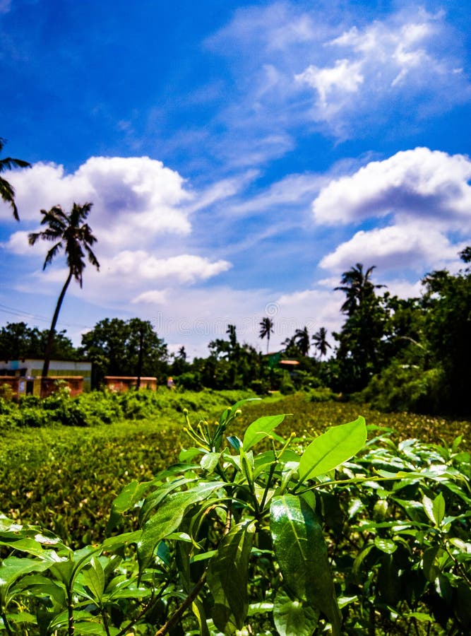 Landscape of Nostalgic View in View Finder Stock Photo - Image of ...