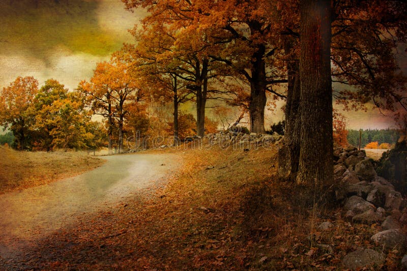 Landscape in October. stock photo. Image of tree, paint - 34802106