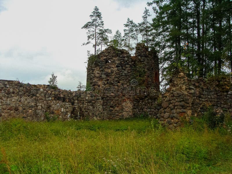 Old Castle Tower Ruins, Tree Branches and Grass in the Foreground Stock ...