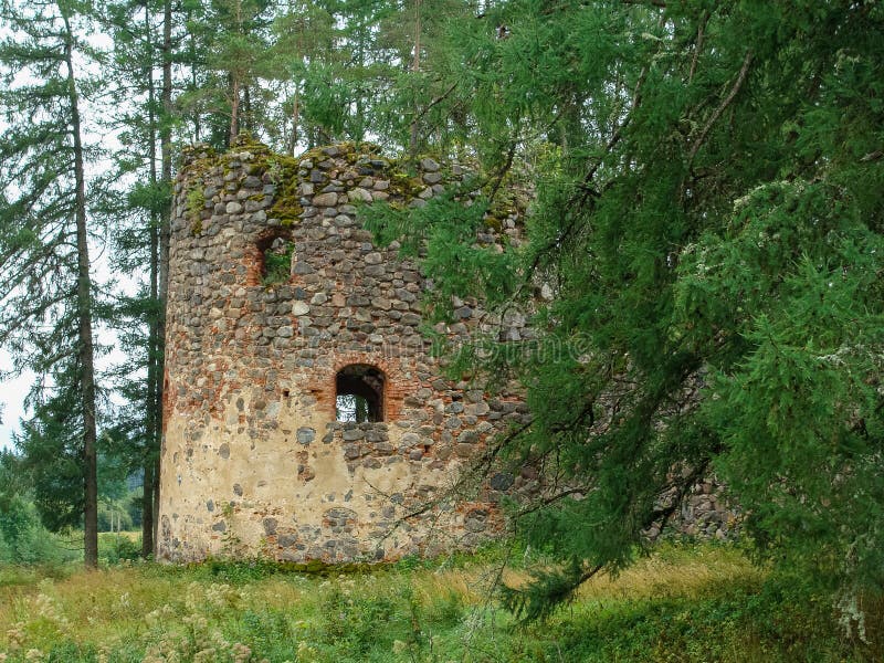 Old Castle Tower Ruins, Tree Branches and Grass in the Foreground Stock ...