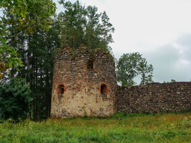 Old Castle Tower Ruins, Tree Branches and Grass in the Foreground Stock ...