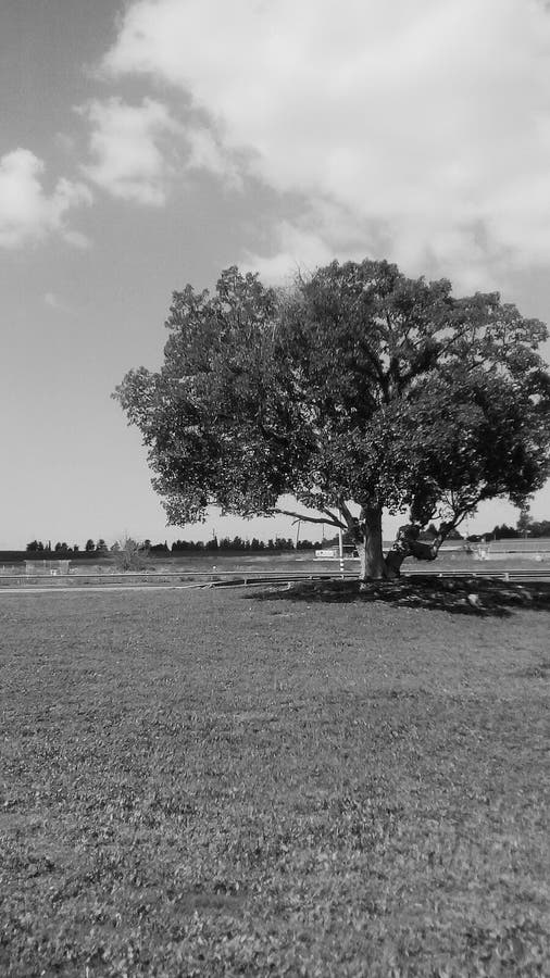 Landscape stock image. Image of landscape, beitdagan - 112983385