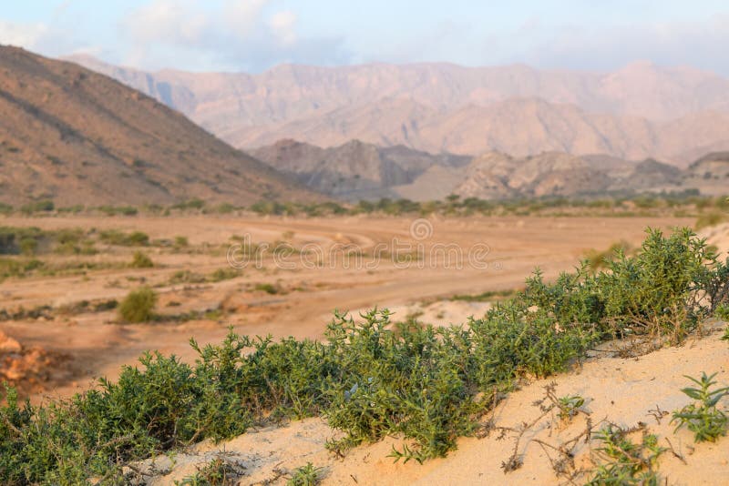Landscape from Oman stock photo. Image of clear, road - 185452004