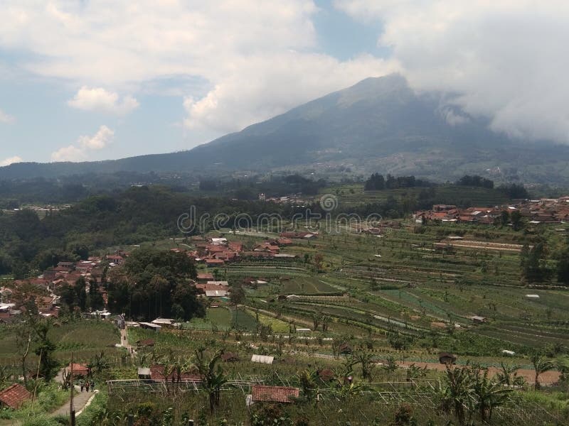 A Landscape in One of the Areas of Central Java Showing Agricultural ...