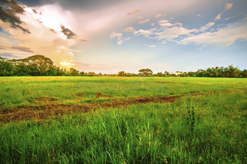 Landscape of Open Field in Evening Time Stock Image - Image of sunrise ...