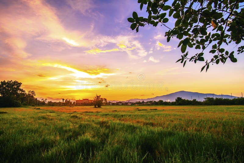 Landscape of Open Field in Evening Time Stock Image - Image of ...