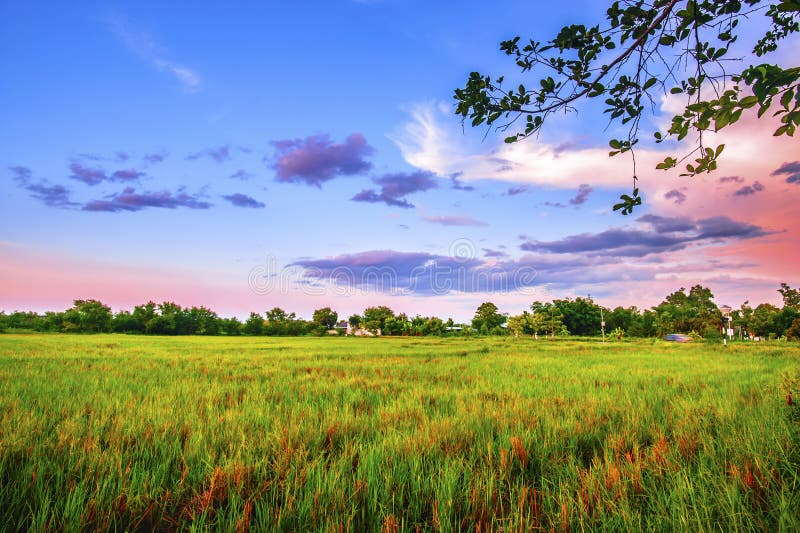Open road stock photo. Image of morning, grass, open - 52202914