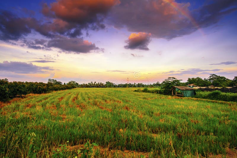Landscape of Open Field in Evening Time Stock Image - Image of ...