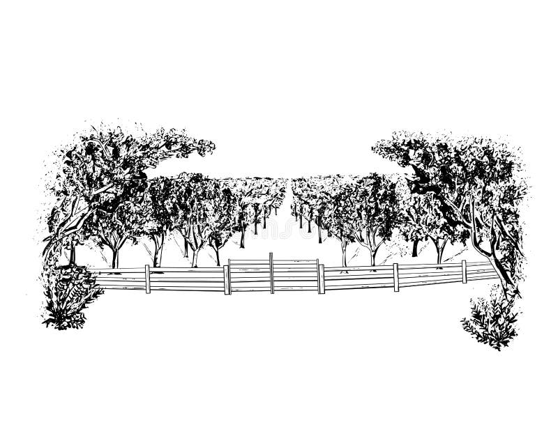 Landscape with orchard stock vector. Illustration of label - 76343631