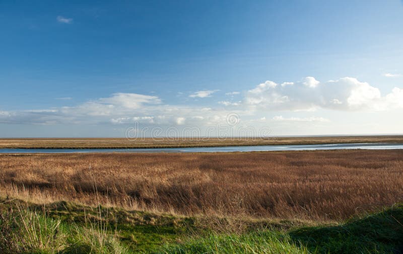 Landscape Over the Reeds. Island of Fanoe in Denmark Stock Image ...