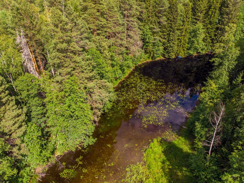 Landscape Overlooking Forest and the River. Aerial Photography Stock ...