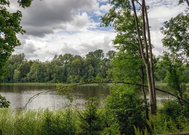 Landscape Overlooking the Lake through Tree Branches, Summer Stock ...