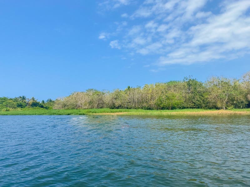 Landscape Overlooking the River in Santa Marta, Colombia Stock Image ...