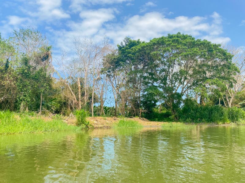 Landscape Overlooking the River in Santa Marta, Colombia Stock Image ...