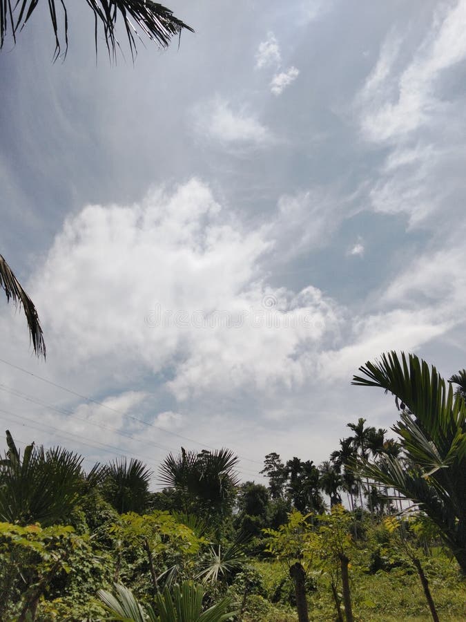 Landscape painting stock photo. Image of wallpaper, painting - 357235242