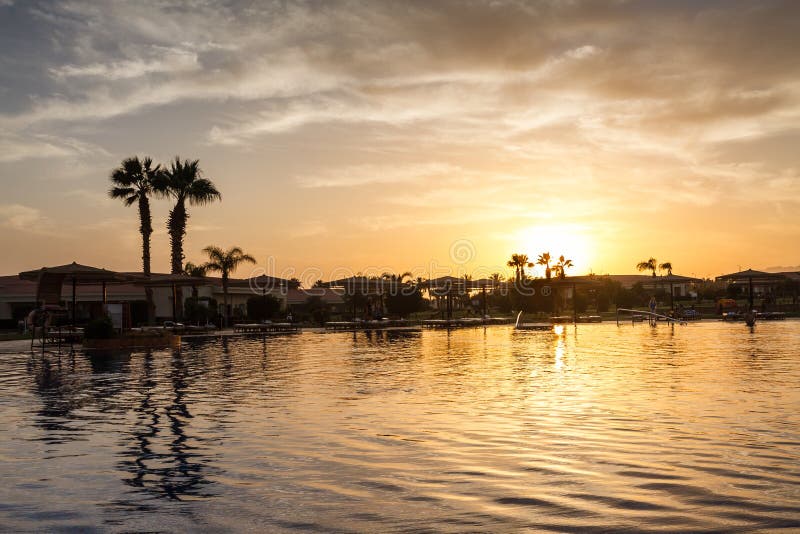 Landscape with Palm Trees, Sunset, Silhouette. Egypt Stock Photo ...