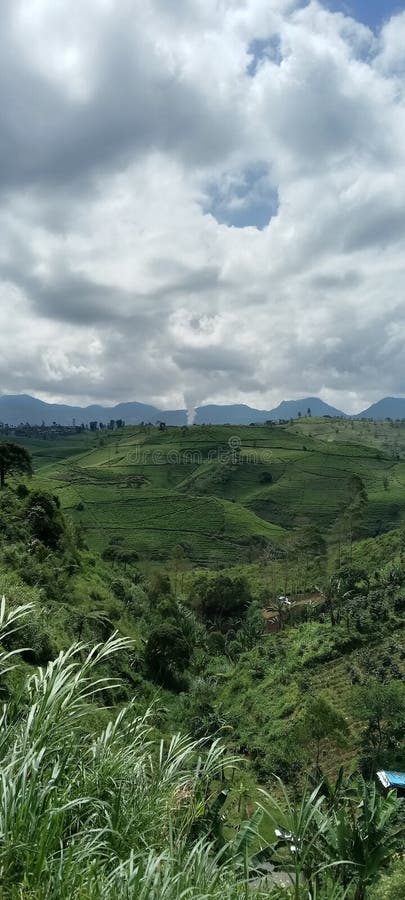 Landscape Pangalengan West Java Stock Photo - Image of highland, ridge ...