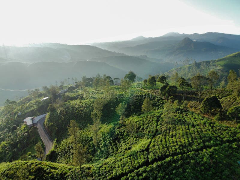 Landscape at Pangalengan, West Java Stock Image - Image of west, java ...