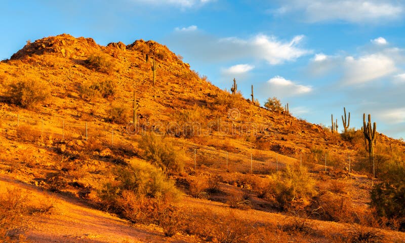 Landscape of Papago Park in Phoenix, Arizona Stock Photo - Image of ...
