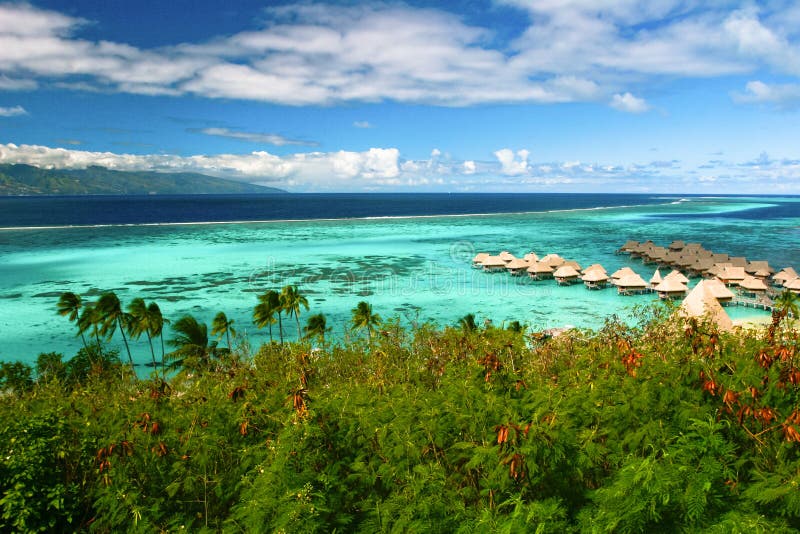 Landscape of Paradise Island Moorea, Stock Image - Image of ocean ...