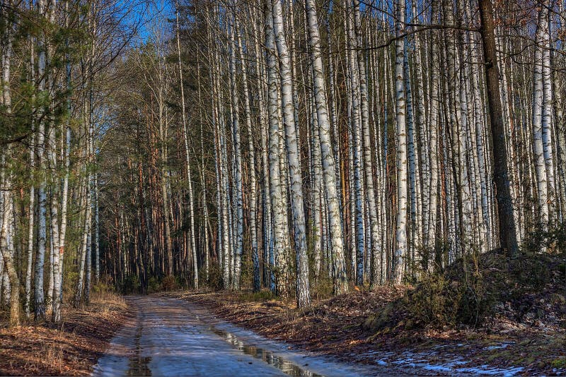 Landscape Park in the Early Spring Stock Photo - Image of spring ...