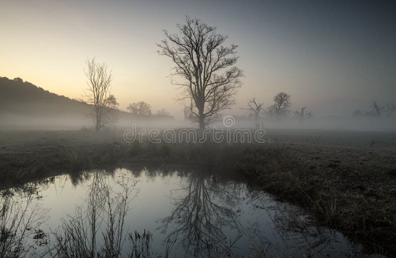Landscape in the Park. Old Trees Stock Photo - Image of outdoors ...
