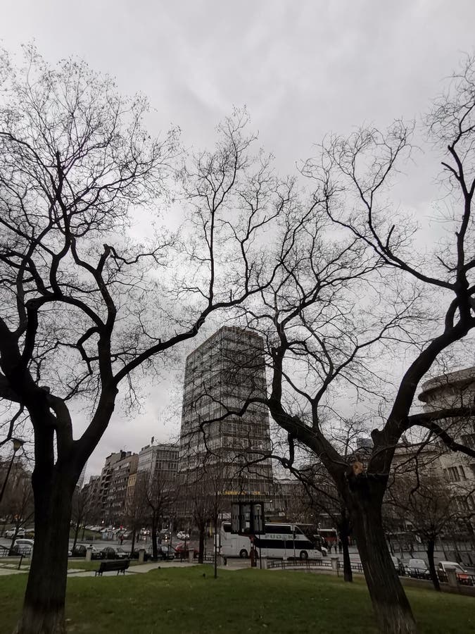 Landscape Park Woods Contrast Cityscape Stock Image - Image of park ...