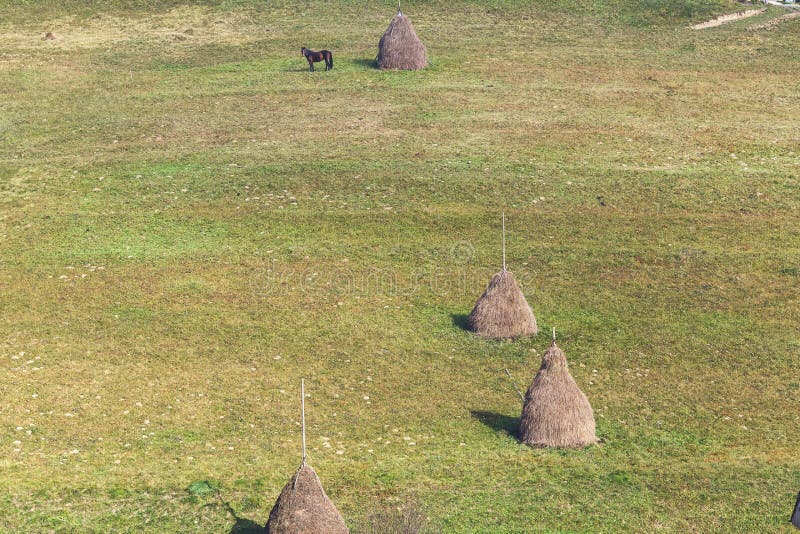 Landscape Pasture with Haystacks, Horse Grazing in Meadow Stock Image ...