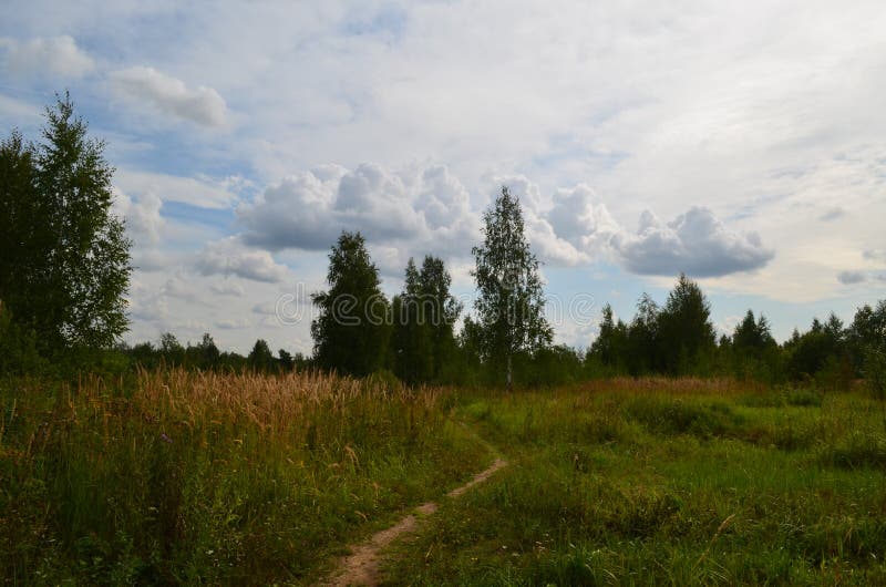 Landscape with a Path in the Fields. Stock Photo - Image of field ...