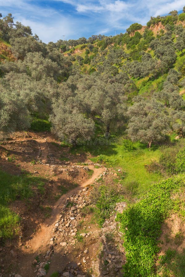 Path through the hills stock photo. Image of road, landscape - 30748764