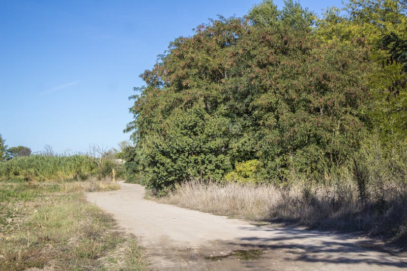 Landscape path, nature stock photo. Image of farmhouse - 193755026