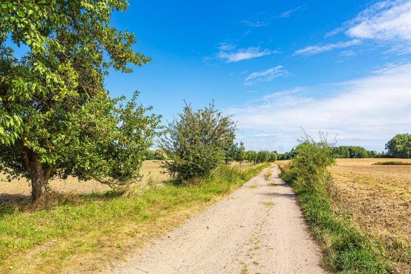 Landscape with Path and Trees Near Niex, Germany Stock Photo - Image of ...