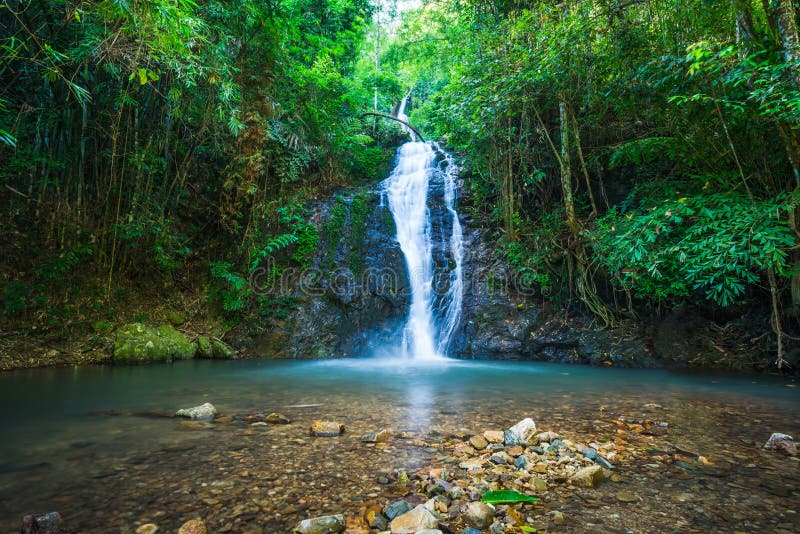 Waterfall in the Tropical Rainforest Landscape Stock Image - Image of ...