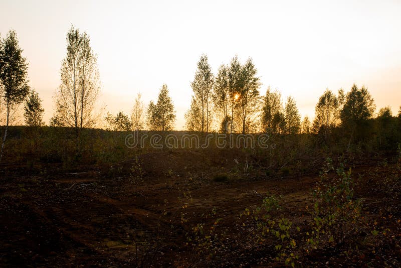 Landscape on Peatlands on Sunset Background. Being Development of the ...