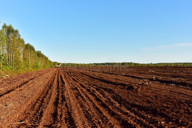Landscape on Peatlands Where Being Development of the Peat. Drainage of ...