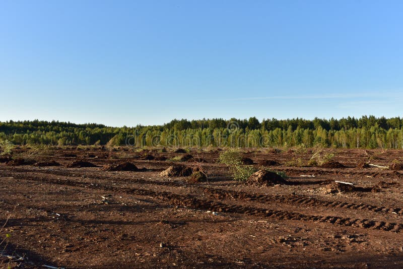 Landscape on Peatlands Where Being Development of the Peat. Drainage of ...