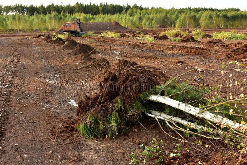 Landscape on Peatlands Where Being Development of the Peat. Drainage of ...