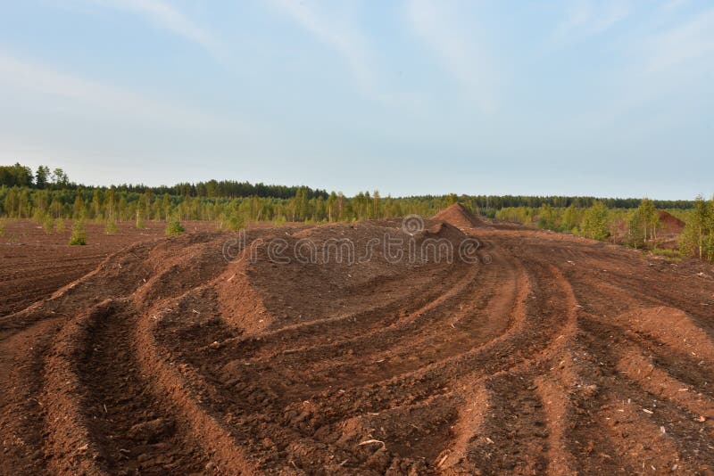 Landscape on Peatlands Where Being Development of the Peat. Drainage of ...