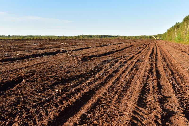 Landscape on Peatlands Where Being Development of the Peat. Drainage of ...