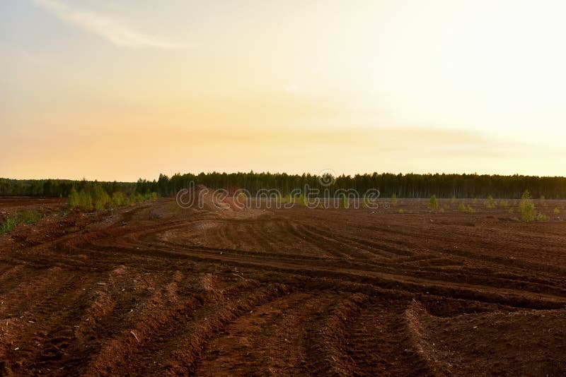 Landscape on Peatlands Where Being Development of the Peat on Sunset ...