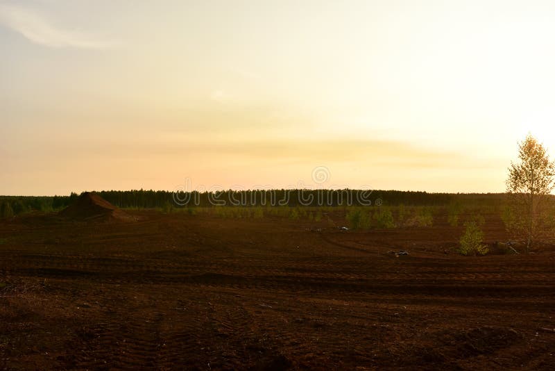 Landscape on Peatlands Where Being Development of the Peat on Sunset ...