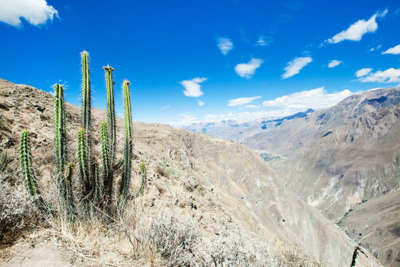 Landscape Peru stock photo. Image of canyon, landscape - 268975042