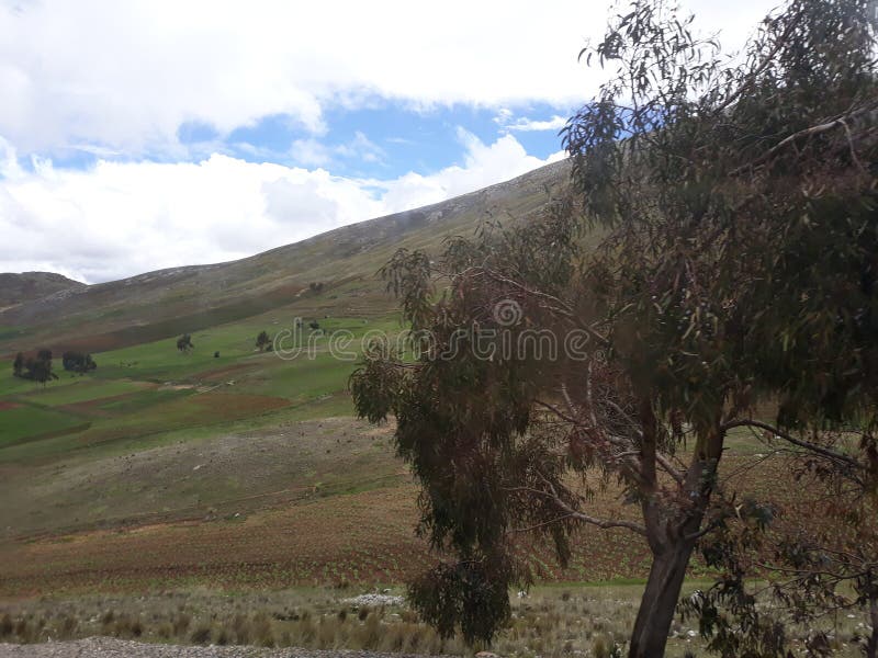 Landscape in Peru stock photo. Image of field, nature - 179199862