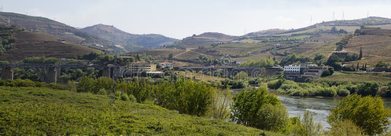 Landscape Peso Da Regua Portugal Editorial Photo - Image of view, regua ...