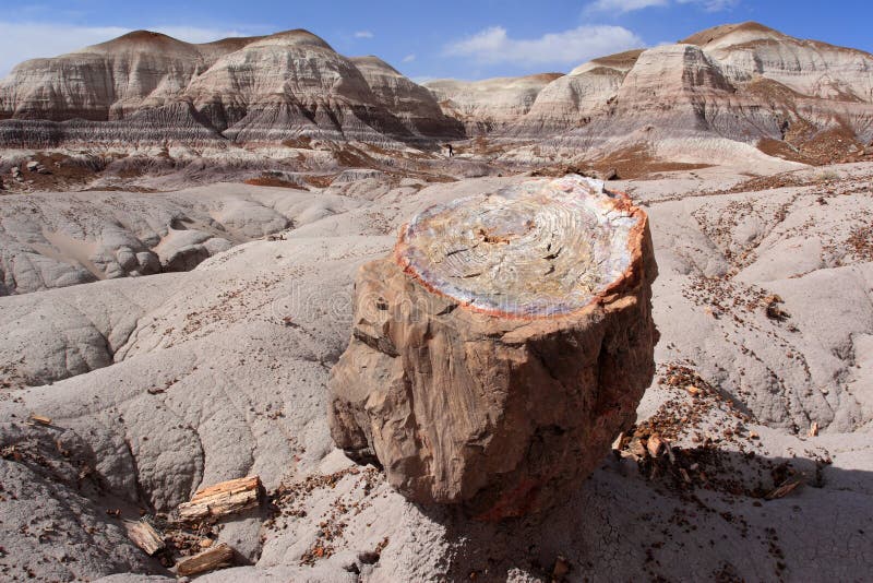 Landscape At Petrified Forest National Park Stock Photo - Image of ...