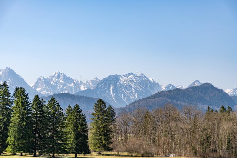 Landscape Photo, Alpine Mountains on the Horizon, Trees in Front Stock ...