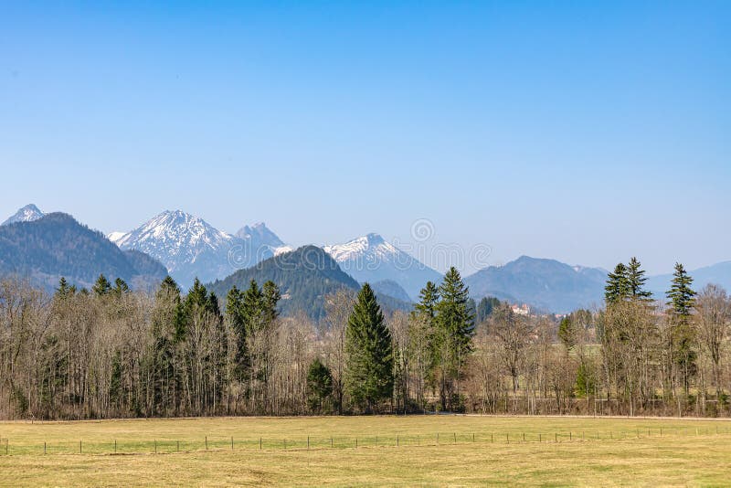 Landscape Photo, Alpine Mountains on the Horizon, Trees in Front Stock ...